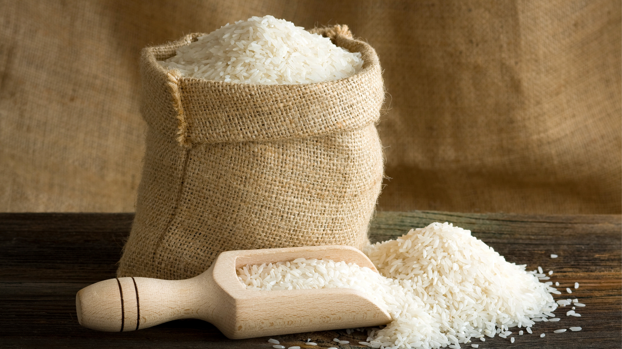 A Rice Odyssey: Exploring Varieties of the Best Italian Rice | italian ...